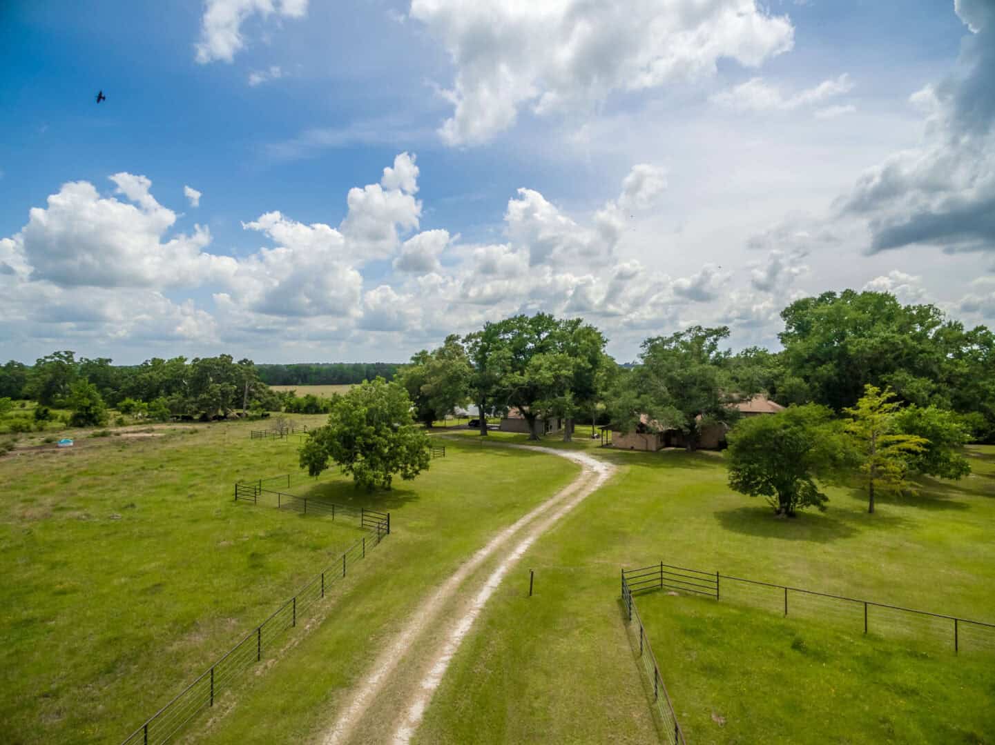 Starting a Ranch in Texas: Costs, Setup & Land Tips